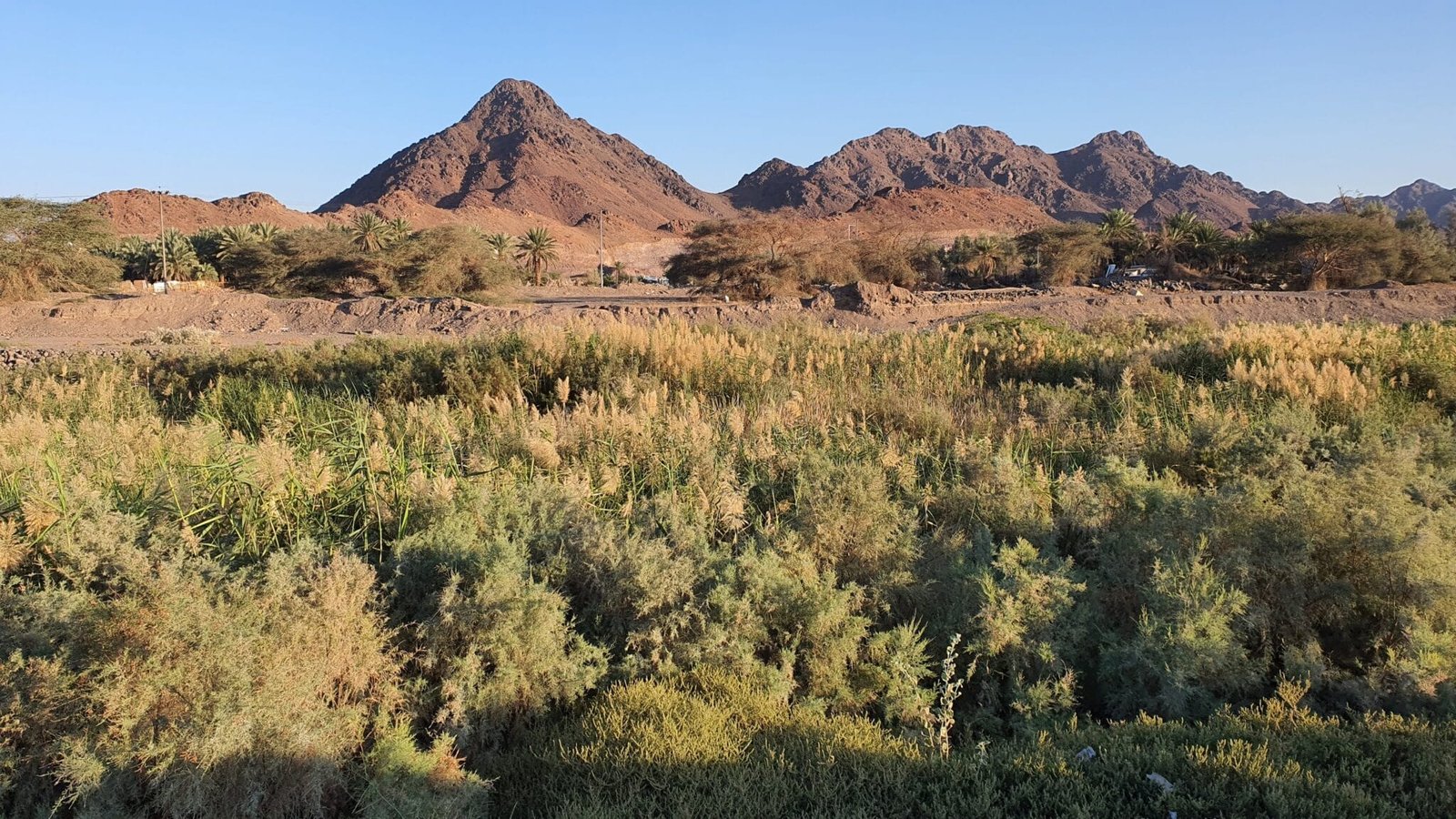 Mengenal Wadi Al Aqeeq Atau Lembah Yang Diberkahi - Rawda Umroh